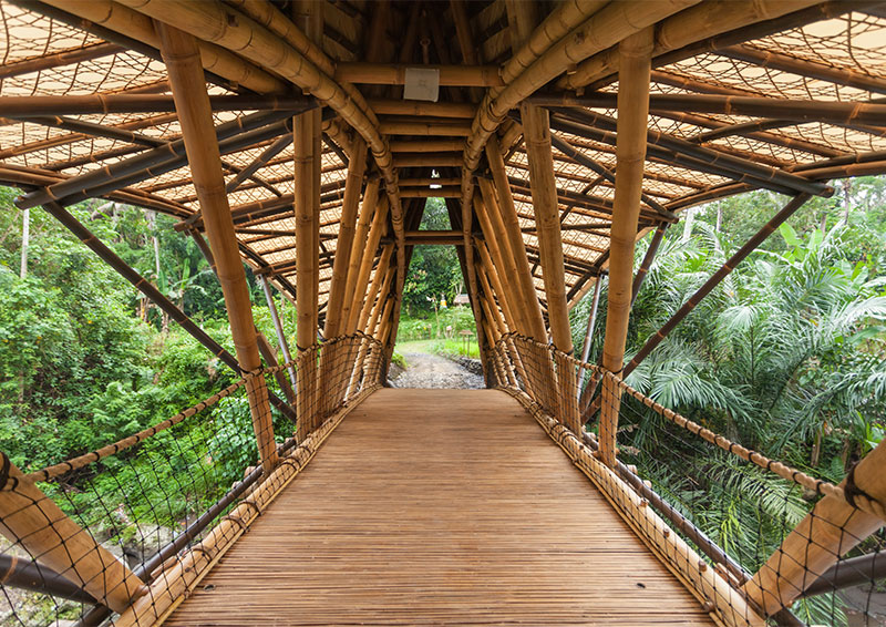 Making timber and bamboo structures mainstream | Institution of Civil ...